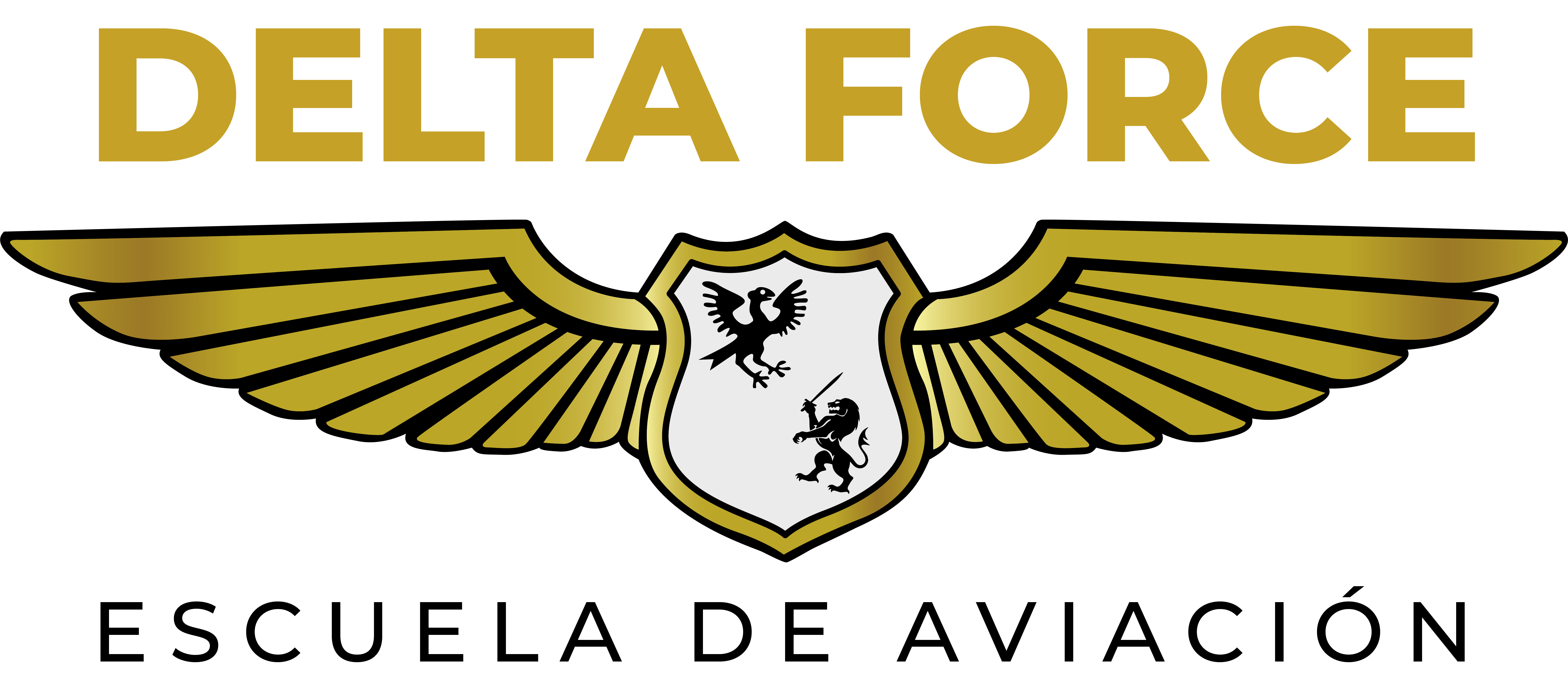 Header Delta Force Header Delta Force
